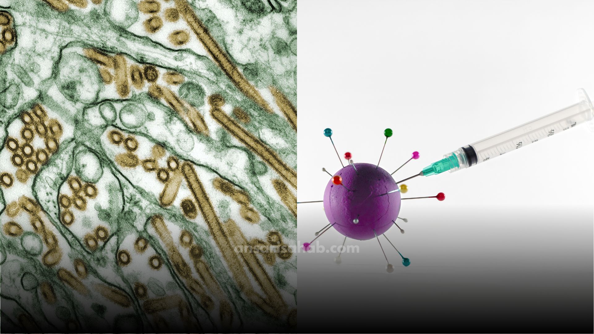 Navigating the HV.1 Variant: Symptoms, Transmission, Prevention, and ...