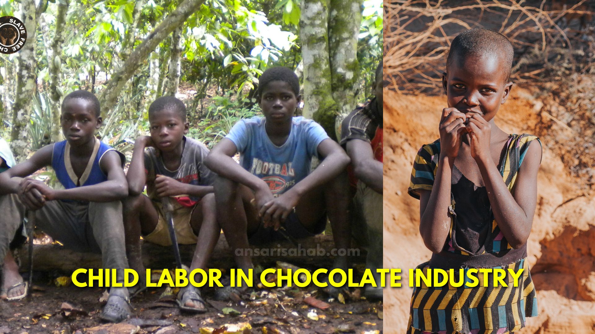 Child Labor in the Cocoa Industry, Major Chocolate Corporations linked ...